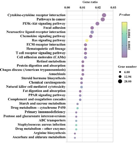 Figure 3 From The Non Oral Infection Of Larval Echinococcus Granulosus Induces Immune And