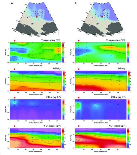 Vertical Distribution Of Temperature Salinity Chlorophyll A And