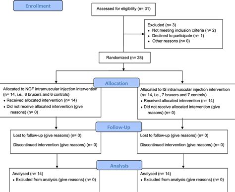 Flow Diagram Depicting Allocation Process Download Scientific Diagram