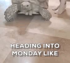 Funny Monday Morning Memes S Tenor
