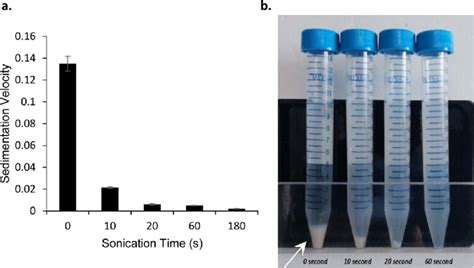 Sedimentation Velocity A And 24 H Of Sedimentation Of Sepiolite Download Scientific Diagram