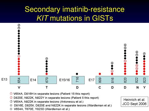 Ppt Resistance To Tk Inhibitors Kit And Pdgfra Powerpoint Presentation Id3645412