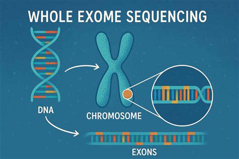 Whole Exome Sequencing Mygenome
