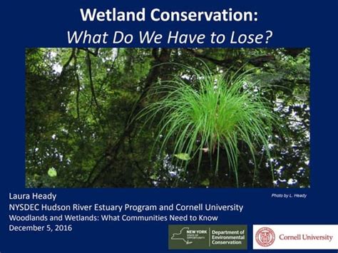 Ra 11038 E Nipas Prohibited Acts Of 2018 Pptx Politics