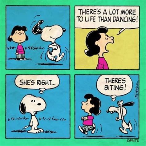 10 Funniest Peanuts Comics Where Snoopy Fights Lucy