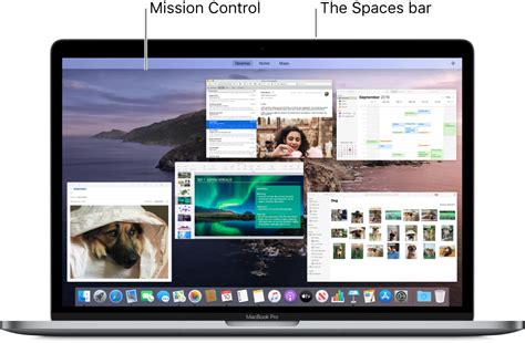 Ways To Fix The Mouse Cursor Disappearing On Mac Saint