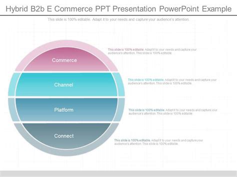 Hybrid B B E Commerce Ppt Presentation Powerpoint Example