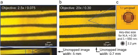 Comparison Between Images Acquired With A A 2 5 6 0 075 Download Scientific Diagram