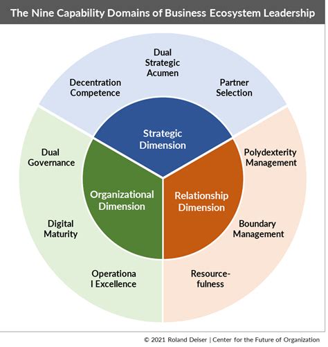 The Art Of Business Ecosystem Leadership Developing Leaders Quarterly