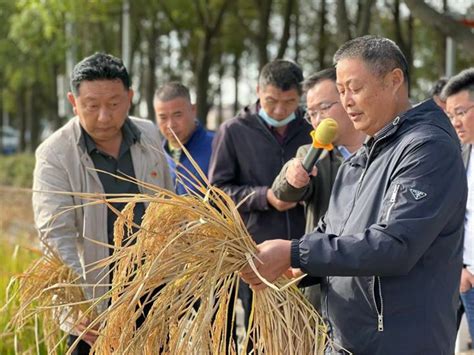 抢抓时节谋生产 陶庄镇秋收冬种现场会召开