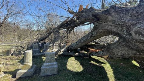 Its Heartbreaking Storm Claims 40 Trees At Historic Cave Hill Cemetery