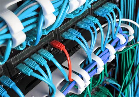 Red Patch Cord Cables Connected To Black Switch Stock Image Image Of High Port