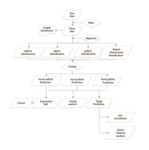 General Workflow For Small RNA Sequencing Following Such Workflow We Download Scientific