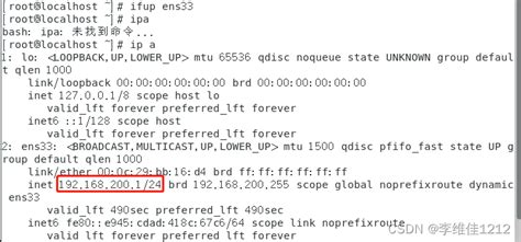 系统学习linux 搭建基础服务器实验集合 linux中的搭建五个服务器的实验报告 csdn博客