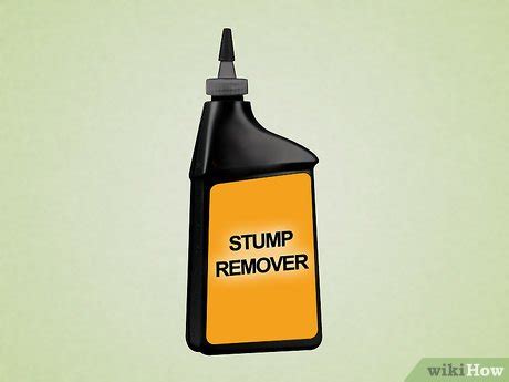 3 Ways To Remove A Tree WikiHow