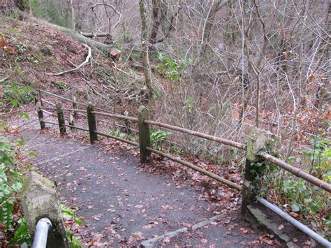 Everyone Likes Pictures The Zig Zag Path