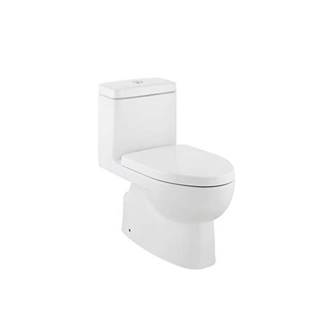 Kohler Class Five Flushing System Pregnantcut