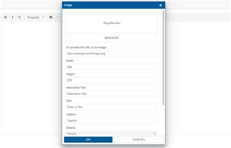 Blazor Blazor Editor With Images Https Htmlelements