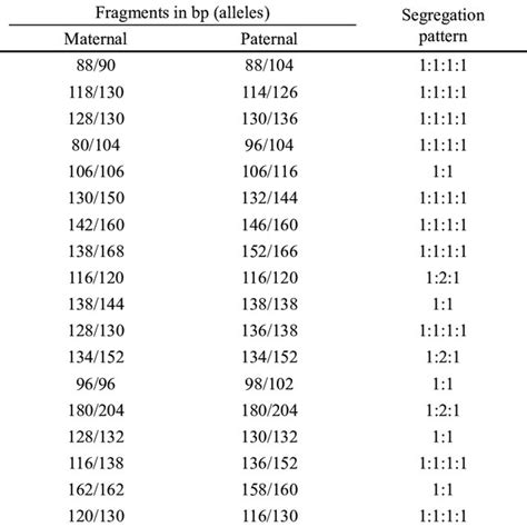 Ssr Primers And The Respective Amplified Fragments Used To Map The Download Scientific Diagram