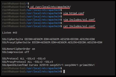 How To Setup Apache Virtual Host On Freebsd