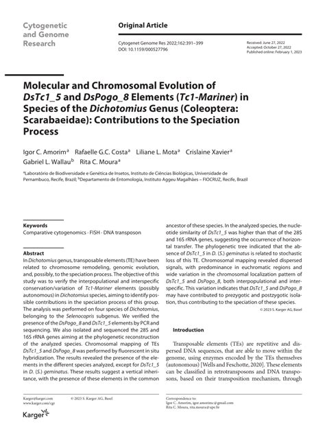 molecular and chromosomal evolution of dstc1 5 and dspogo 8 elements