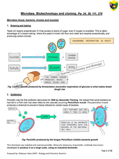 2 t 3 y 10 b bio codominance genetic disease genetic