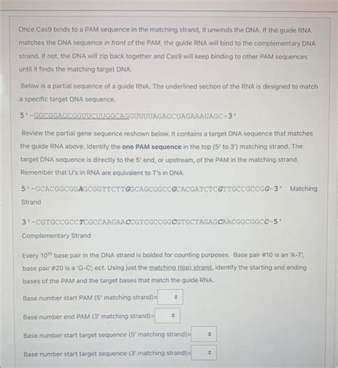 Solved Once Cas 9 Binds To A Pam Sequence In The Matching