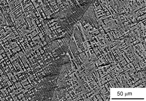 Metallography Image Of Ti 6al 4v Specimen Microstructure Consisting Of