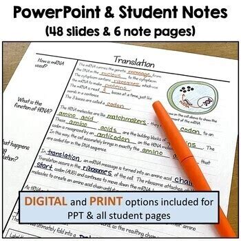 Biology UNIT DNA Replication RNA Protein Synthesis And Mutations