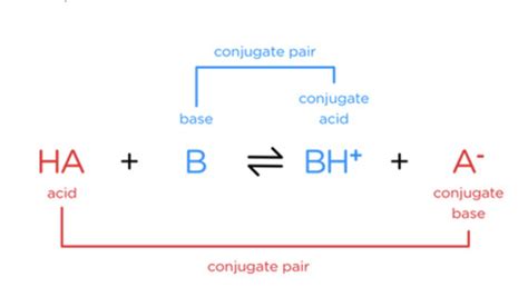Acids Bases Flashcards Quizlet Acids Bases Flashcards Quizlet