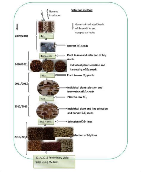 Illustration Of The Selection Methods During 2009 2014 Download Scientific Diagram