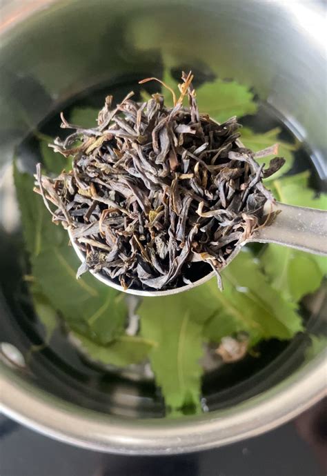 Paw Healing Herbal Spray For Pododermatitis Good Mama