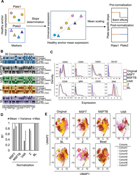 Batch Normalization Functions A Batch Normalization Using Bead Like