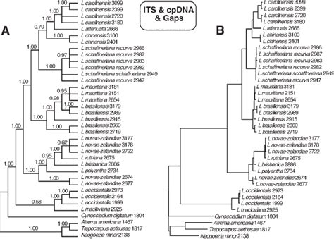Bayesian Inference Trees Derived From Analyses Of Combined Its And