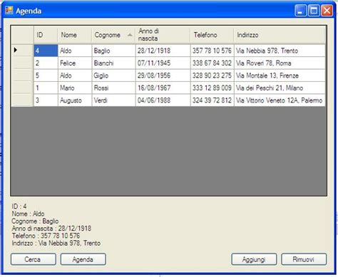 Guida Al Visual Basic NET DataGridView Parte I Piero Tofy It