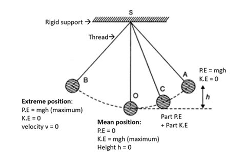 Oscillatory Motion Examples