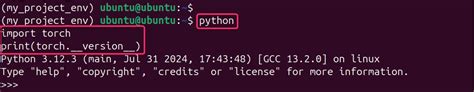 how to install pytorch on ubuntu 24 04 using pip and anaconda greenwebpage community