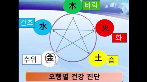음양오행과 건강 사례 윤조의 사주여행 YouTube