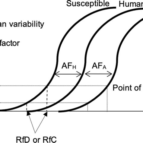 Depiction Of Us Construct For Deriving Oral Reference Dose Rfd And Download Scientific