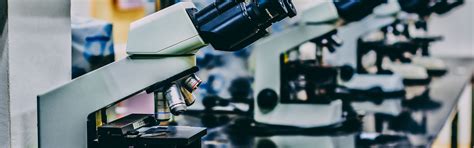 Publications Technical Reports Pharmaceutical Regulatory News PDA