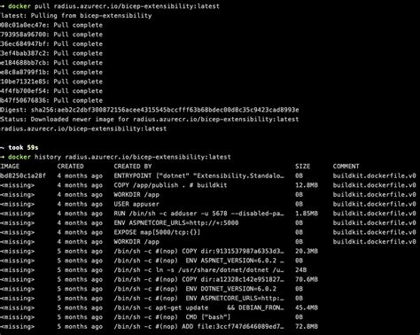 `rad Env Init` For Self Hosted Is Taking Too Long To Initialize ~34 Minutes In Average