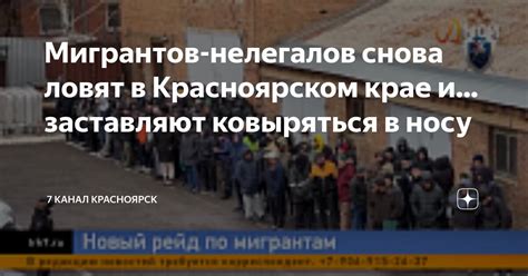 Мигрантов нелегалов снова ловят в Красноярском крае и заставляют ковыряться в носу 7 канал