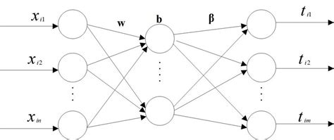 The Structure Of Elm Download Scientific Diagram