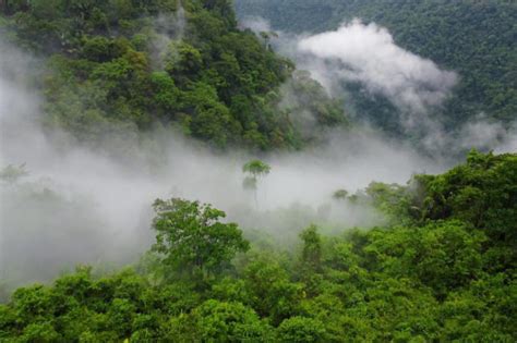 New Technology Revolutionizes The Way Countries Are Fighting