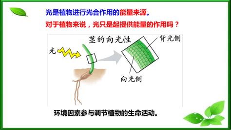 Ppt