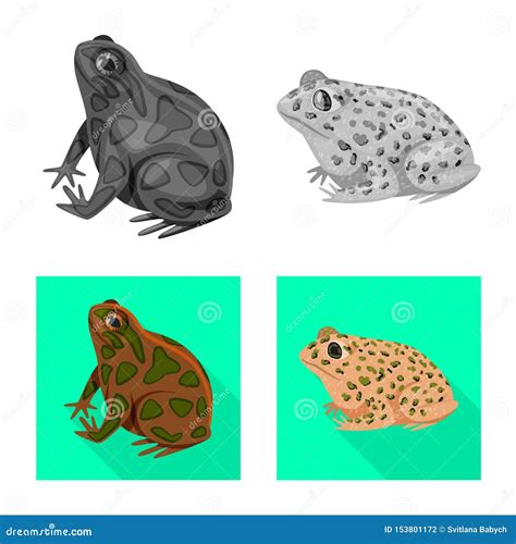Vector Design Of Wildlife And Bog Sign Set Of Wildlife And Reptile Stock Symbol For Web Stock