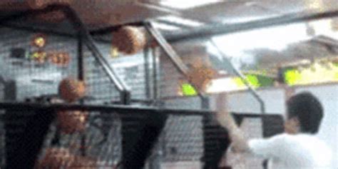 When All My Tests Pass Without Any Exception The Coding Love Programmer Humor S Memes