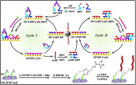 Programmable Dna Nanomachine Integrated With Electrochemically