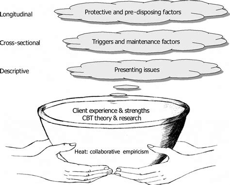 The Science And Practice Of Case Conceptualization Behavioural And Cognitive Psychotherapy