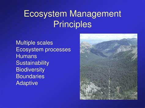 Ppt Evaluating Approaches To “ecosystem Management” Using Fvs